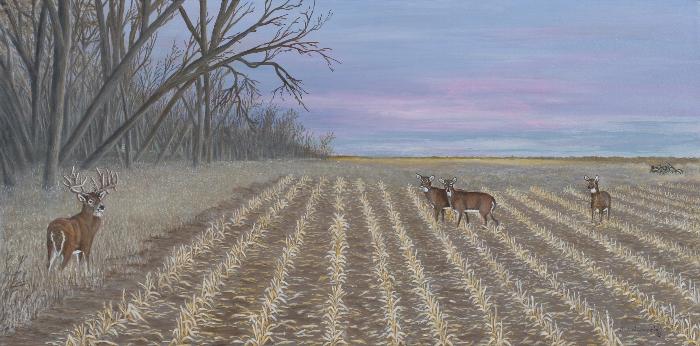 Whitetail Deer Paintings Curious Whitetail Deer In Autumn Landscape